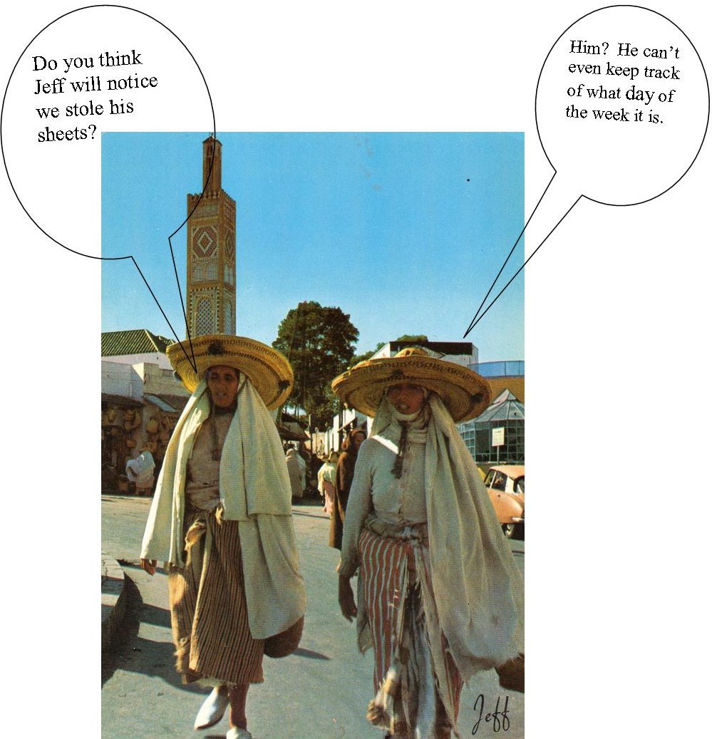 Bizarre Postcard Captions | Linda Vernon Humor